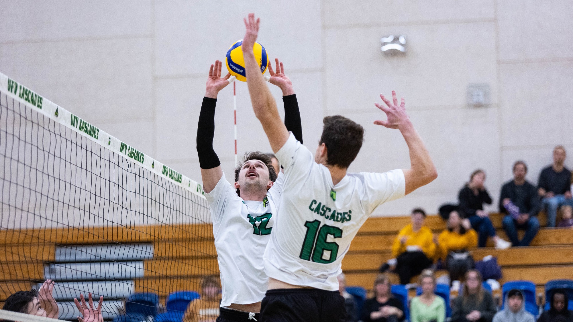 Stefan Halas - Men's Volleyball - University of the Fraser Valley