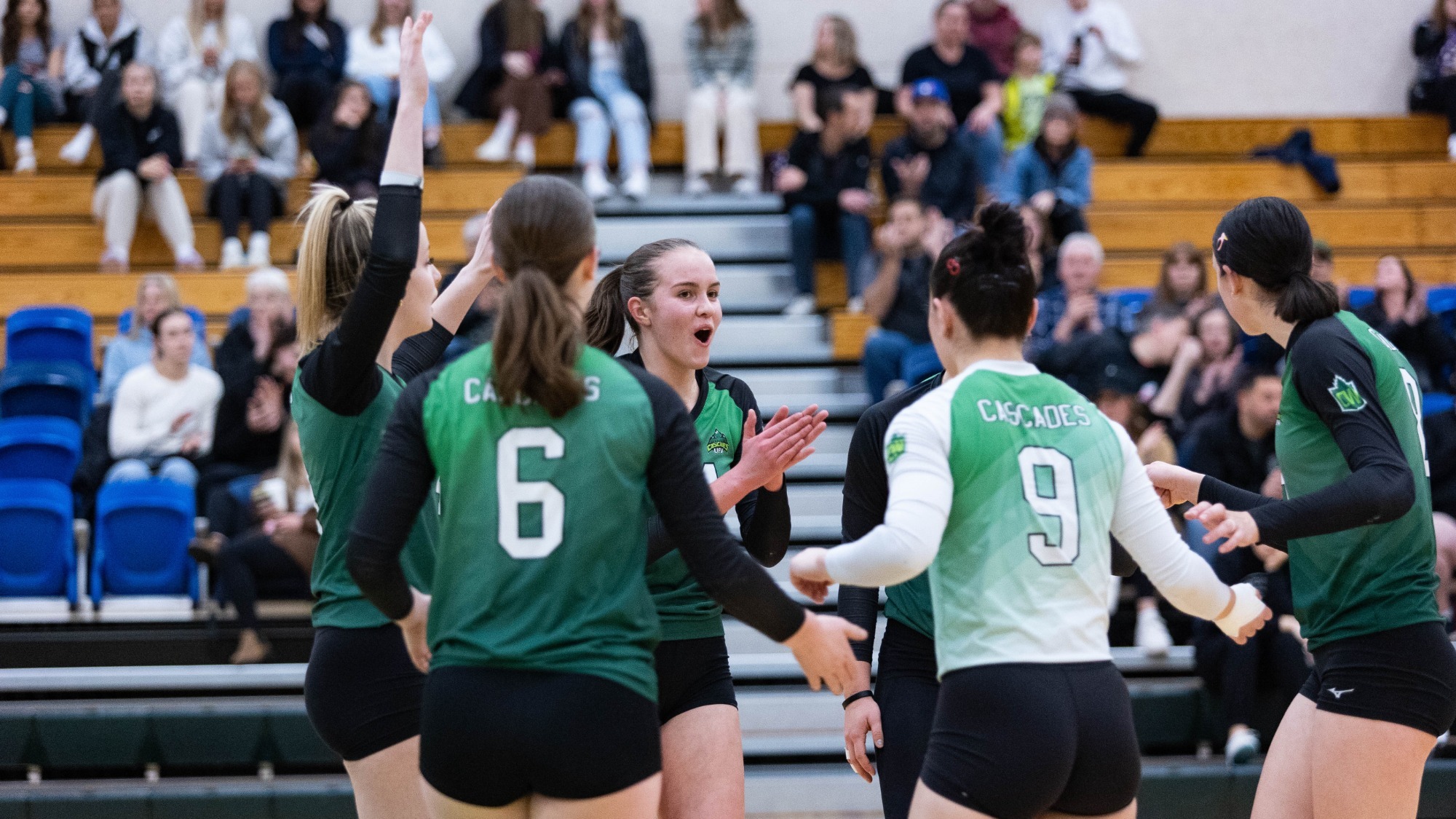 WVB: Cascades continue winning ways in three-set sweep of Dinos ...