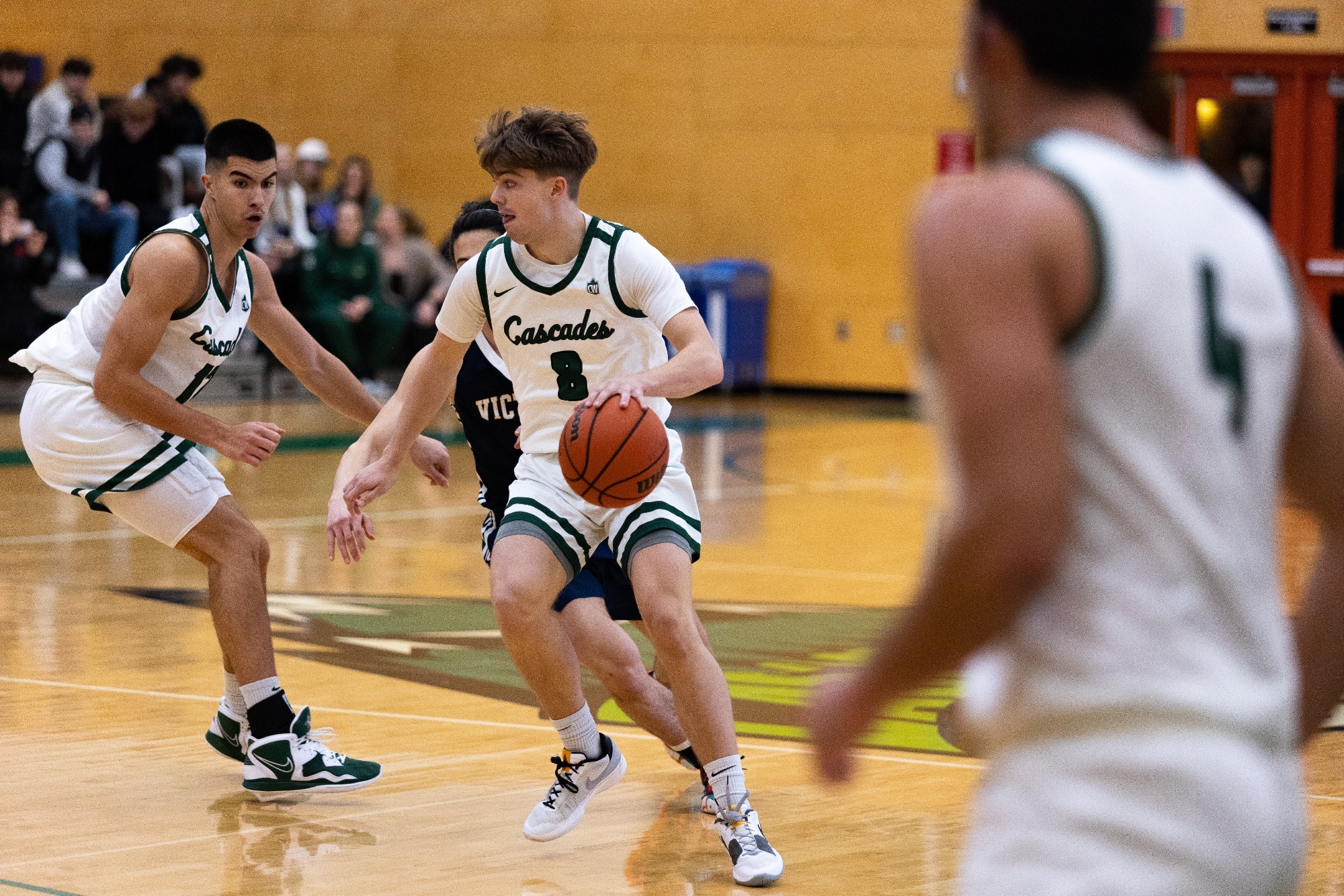Hans Befus - Men's Basketball - University of the Fraser Valley