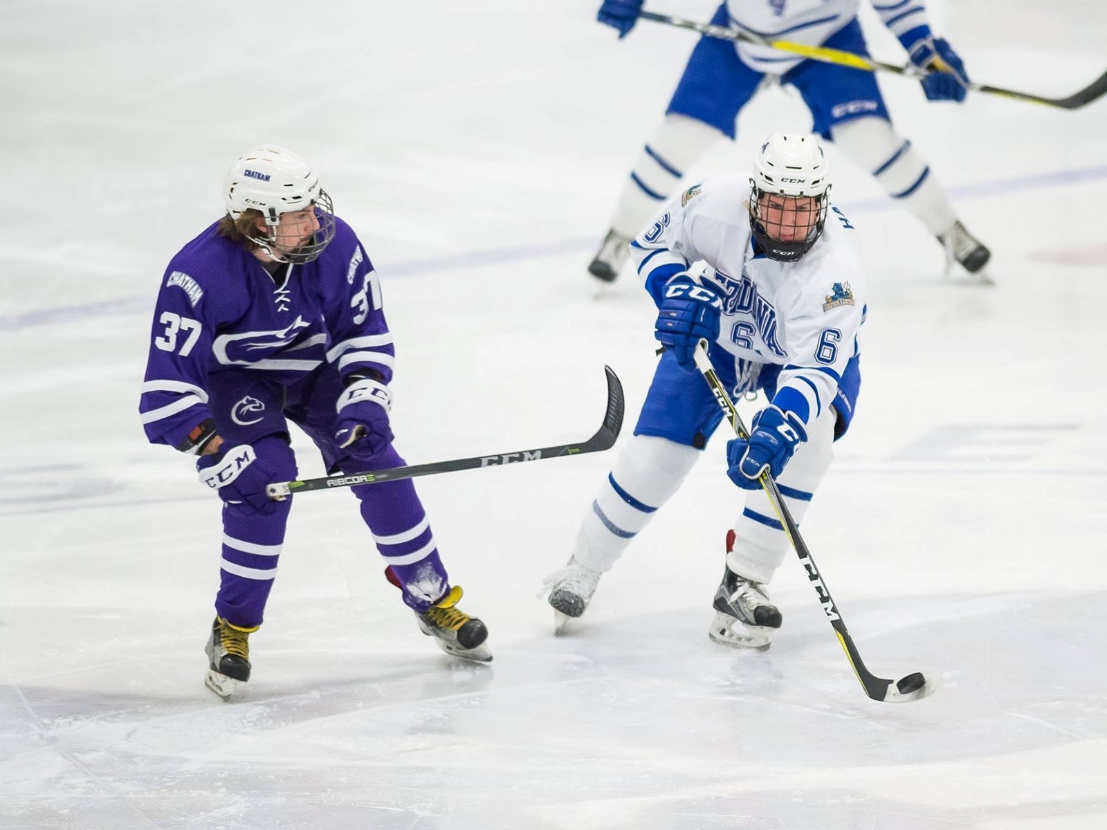 Jacob Haynes - Men's Ice Hockey - Fredonia State University Athletics