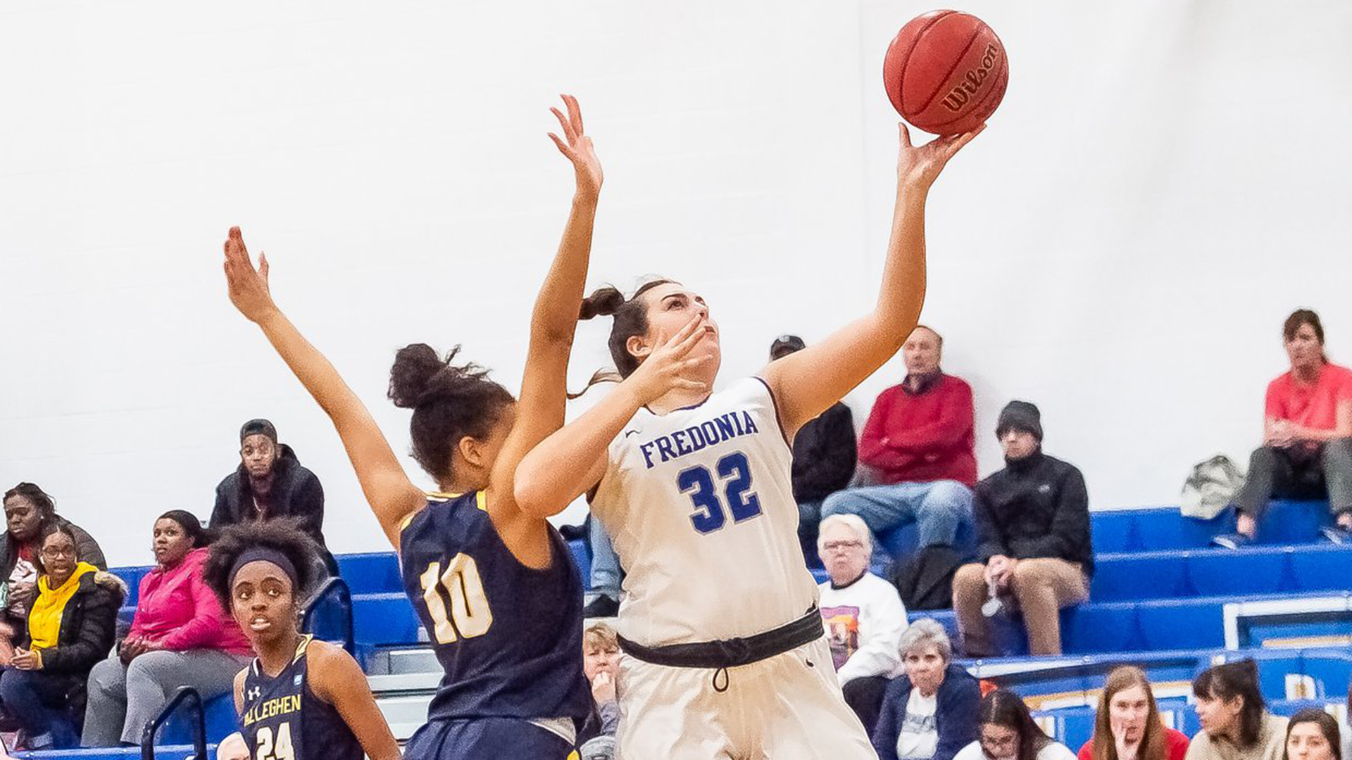 Morgan Davis - Women's Basketball - Fredonia State University Athletics