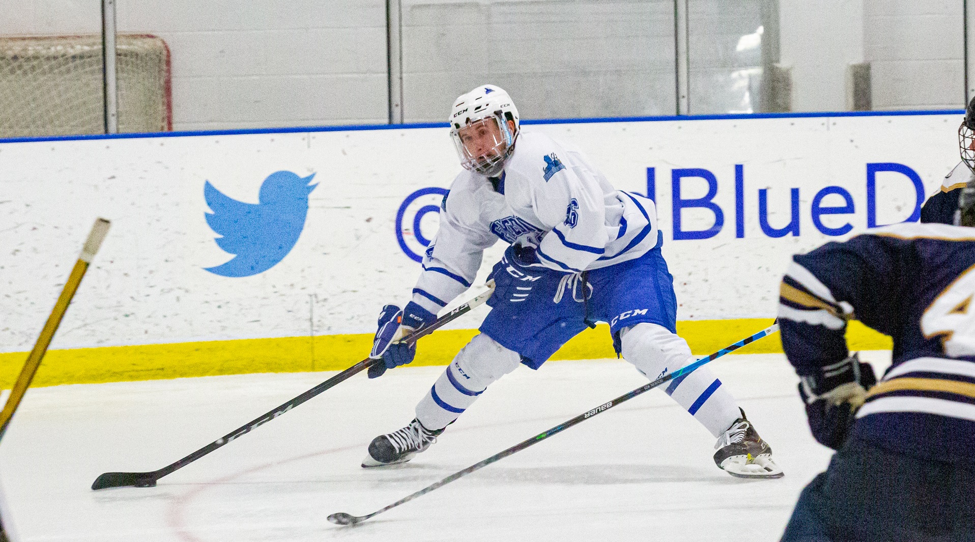 Gregg Lee - Men's Ice Hockey - Fredonia State University Athletics