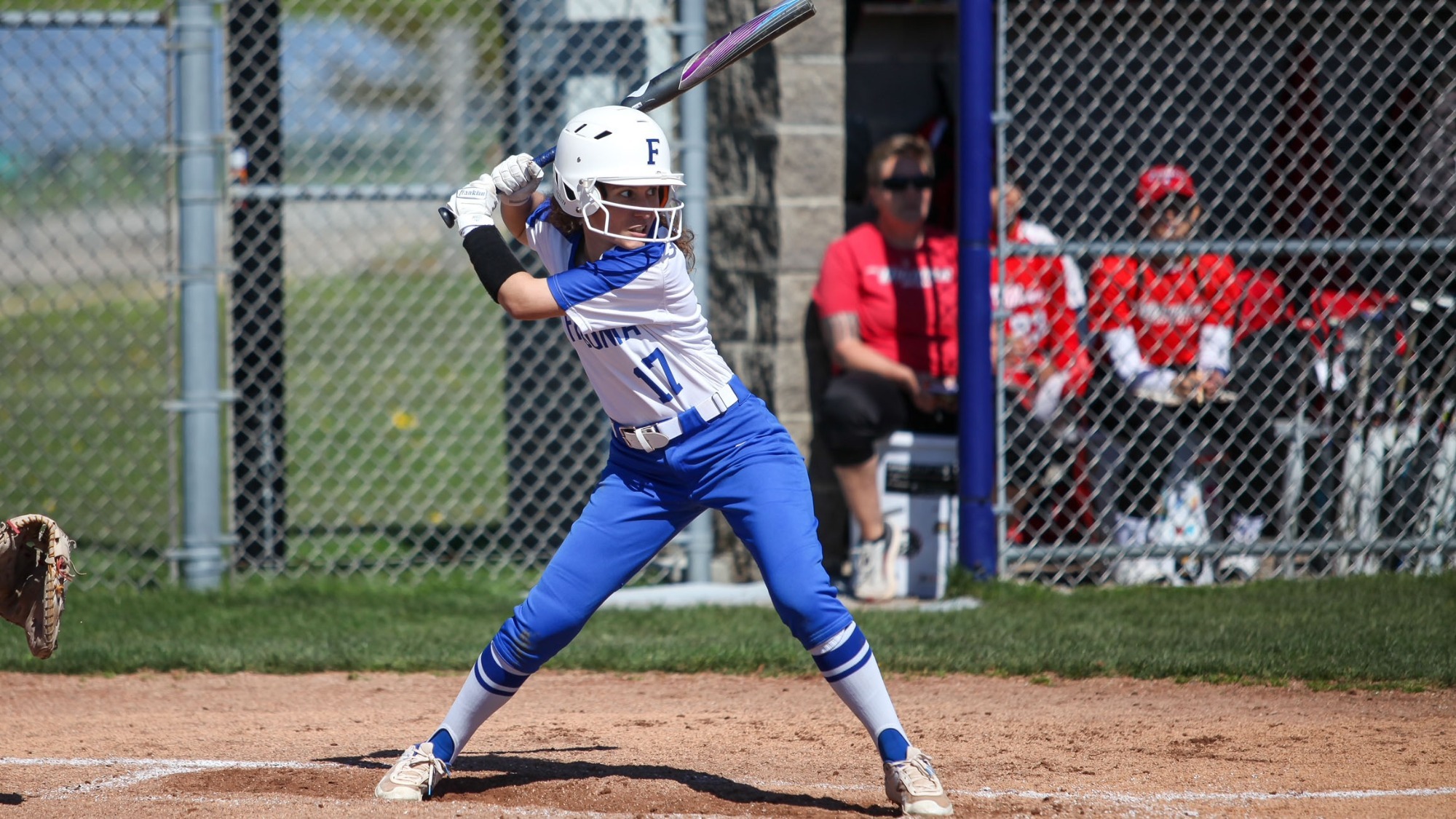 Chelius zeros Dragons - Fredonia State University Athletics