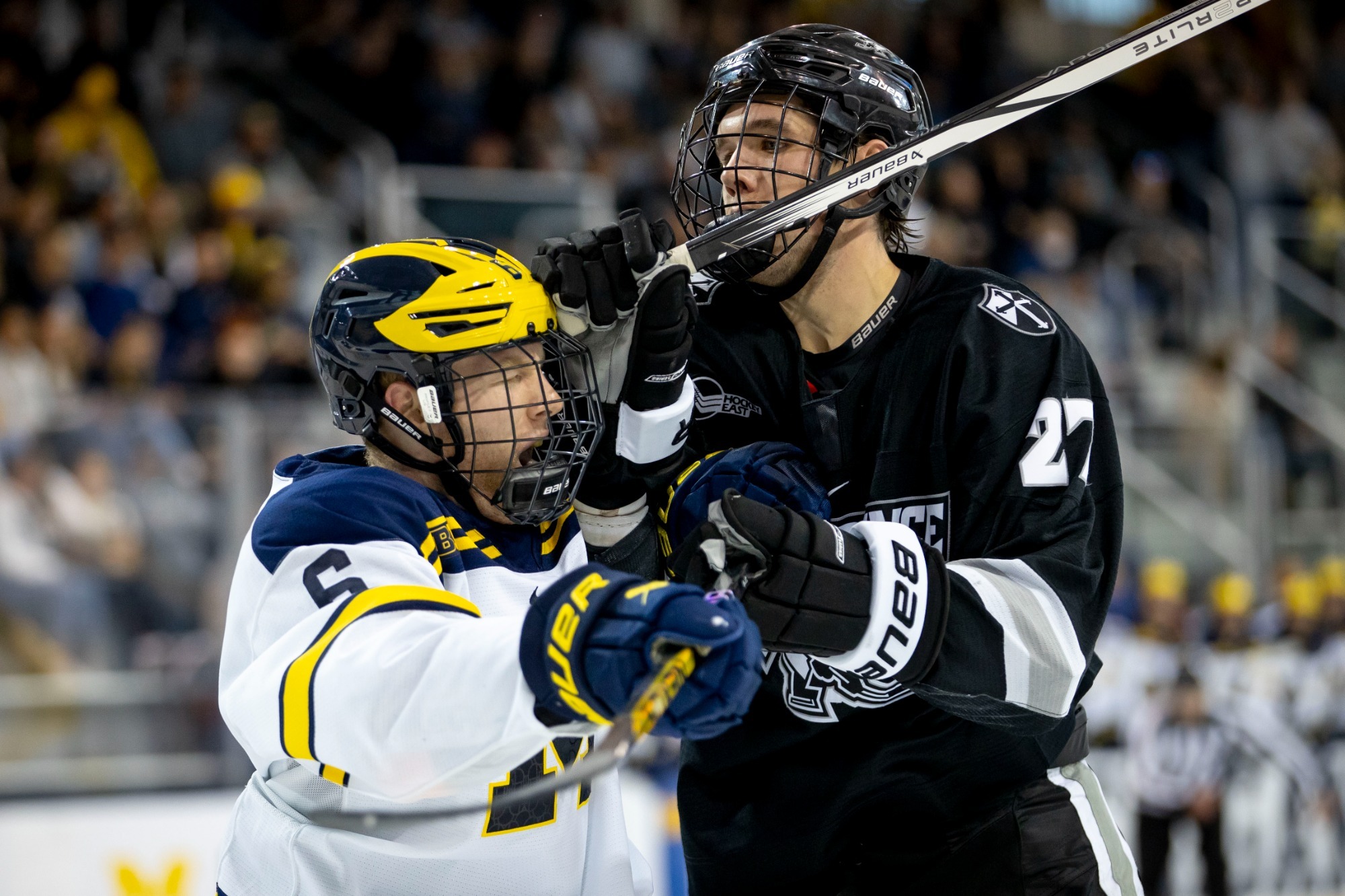 Taige Harding - Men's Ice Hockey - Providence College Athletics
