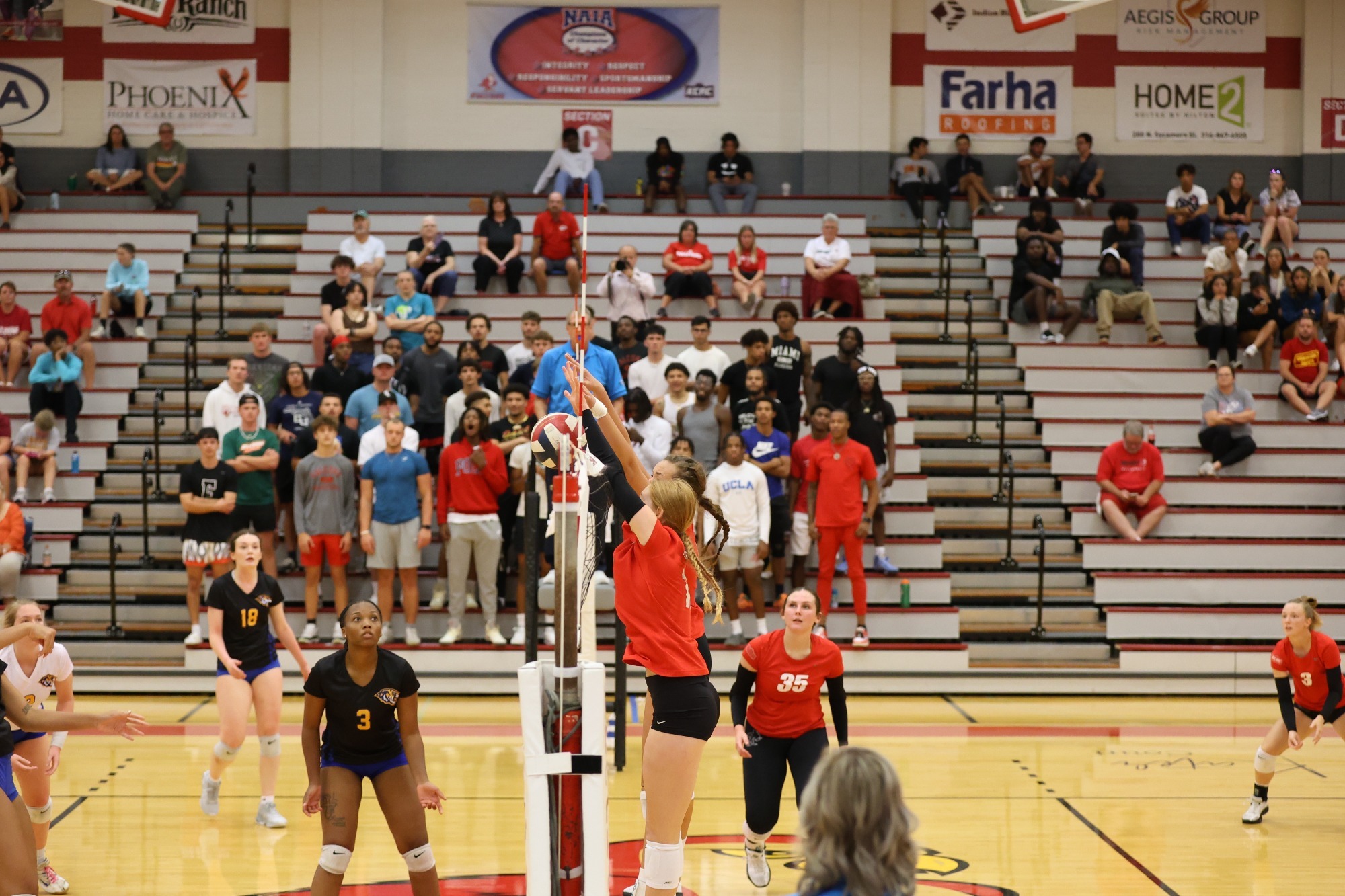 Volleyball Falcons defeat Cottey to split final day of Eutectics ...