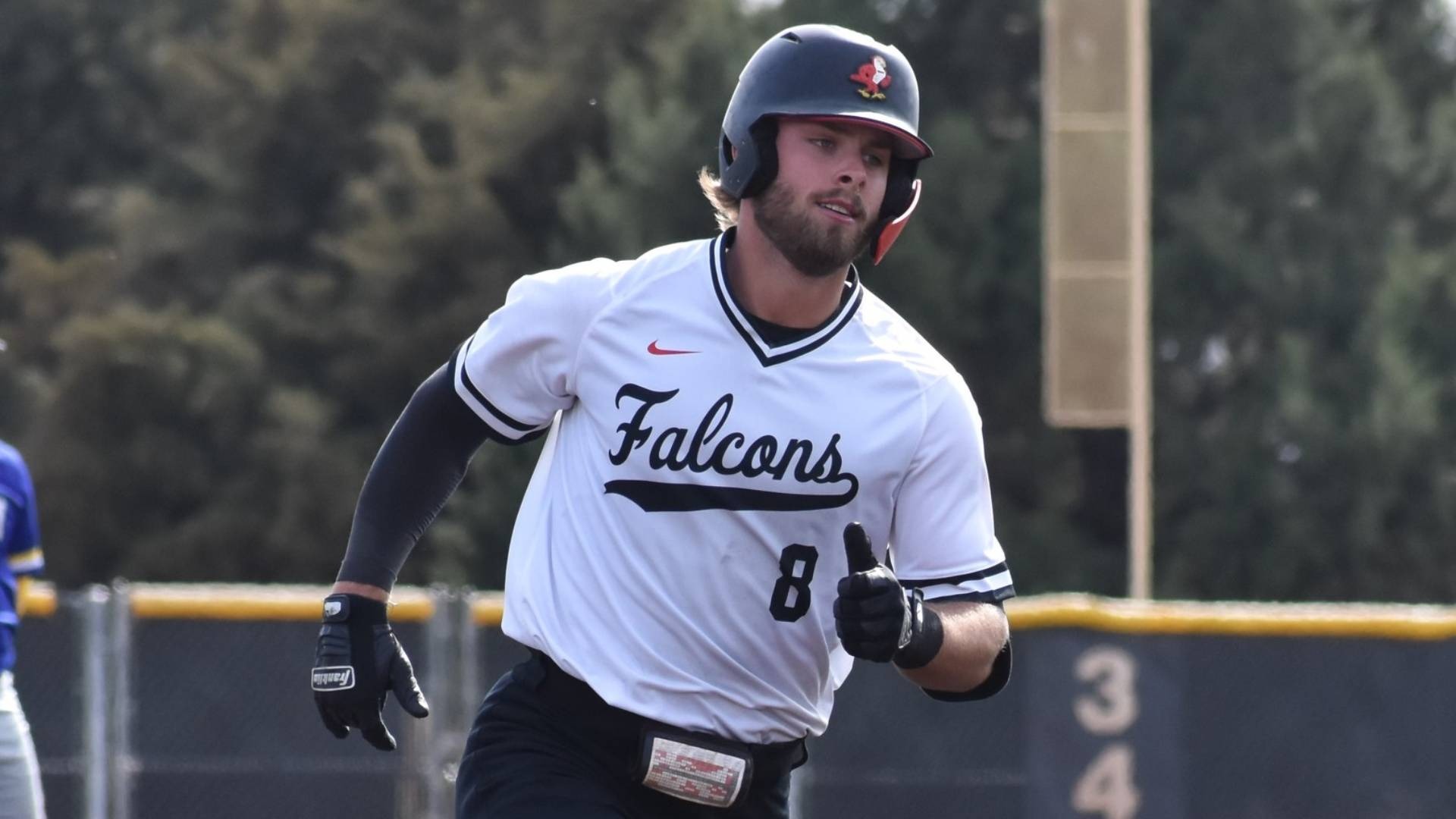 Baseball Falcons power up to sweep Sterling and claim series victory ...