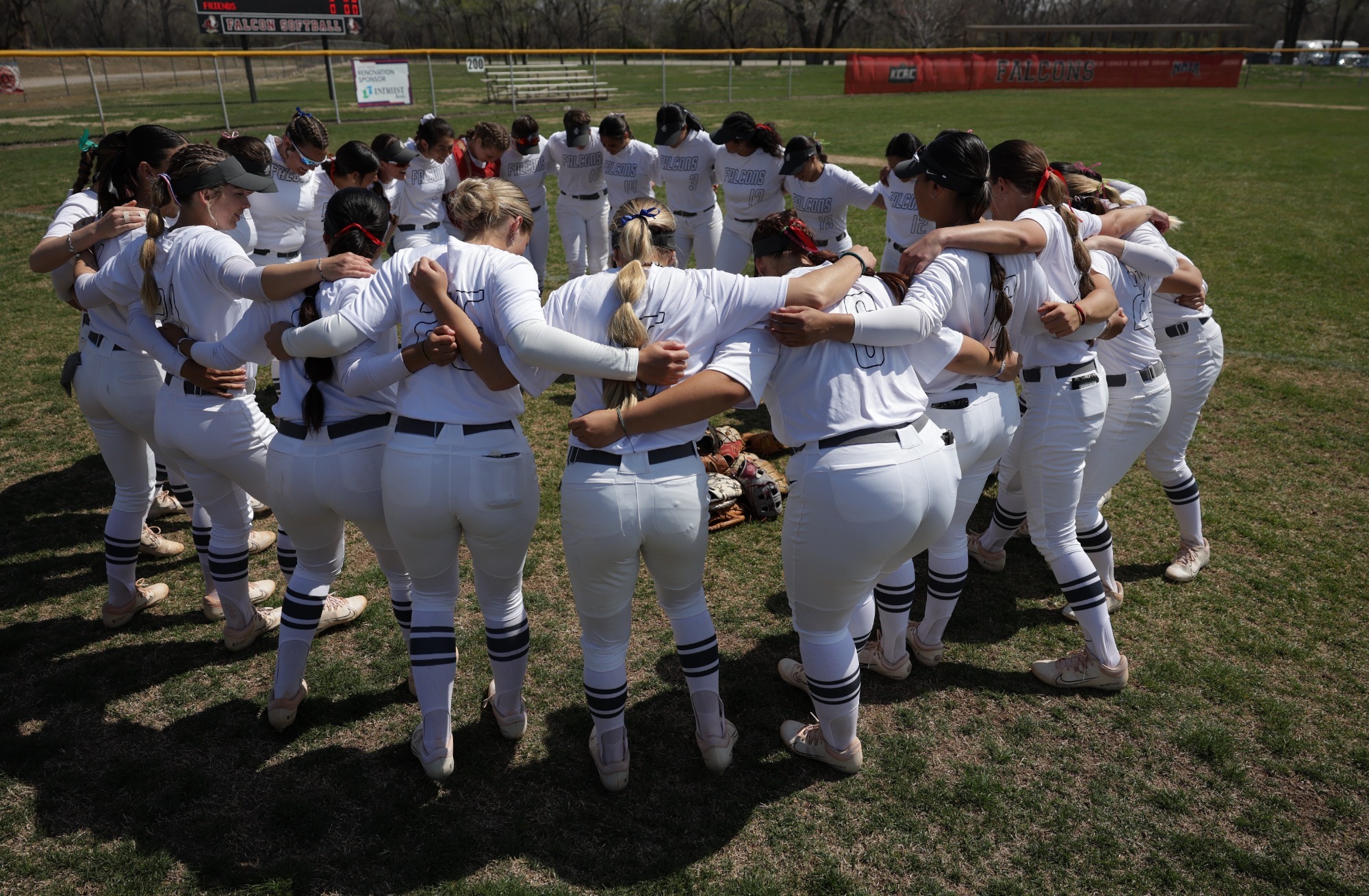 Not done yet: Softball Falcons receive at-large bid to NAIA Opening ...