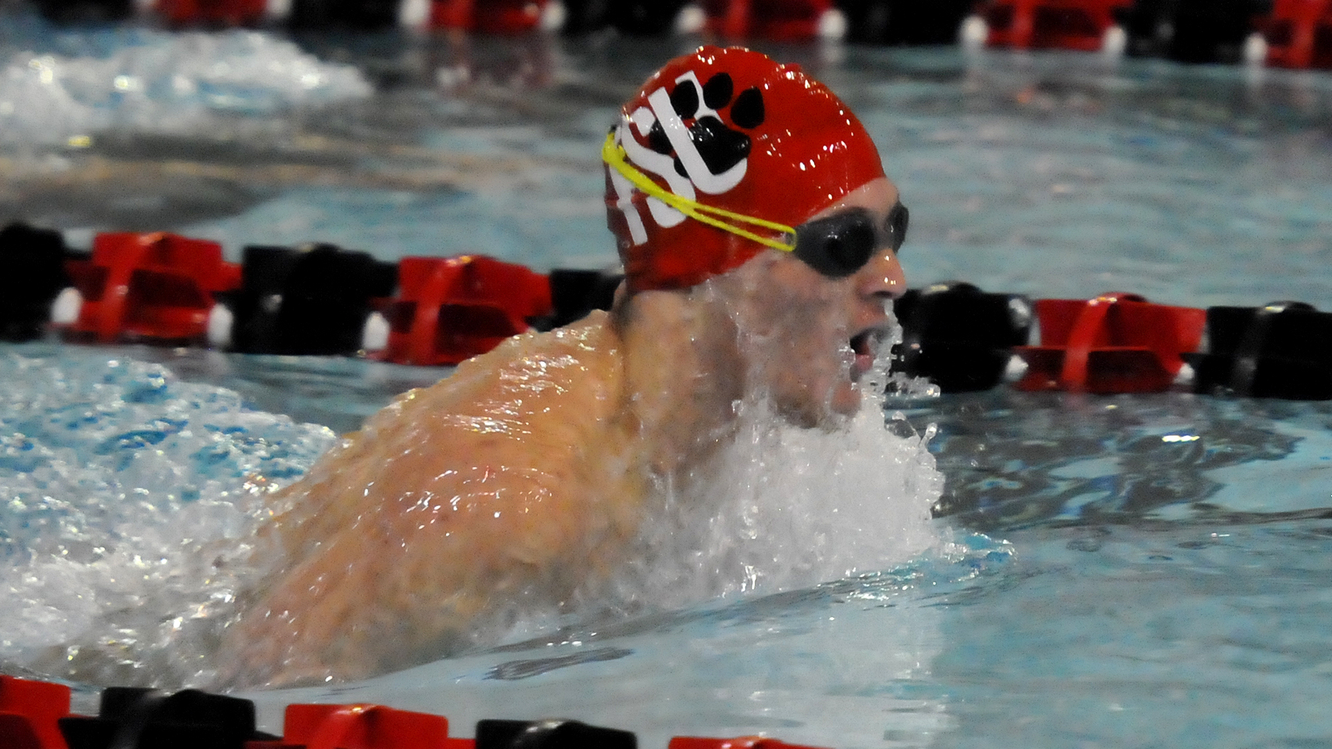 Luke Holloway - Men's Swimming - Frostburg State University Athletics
