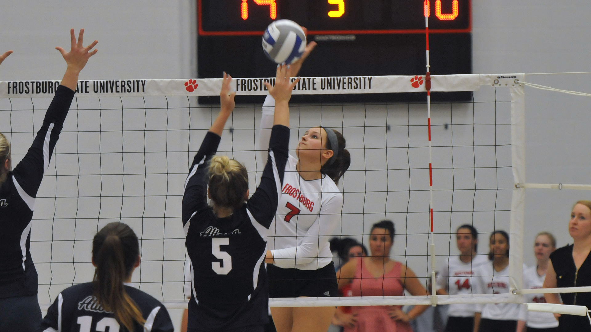 Rachel Snead - Women's Volleyball - Frostburg State University Athletics