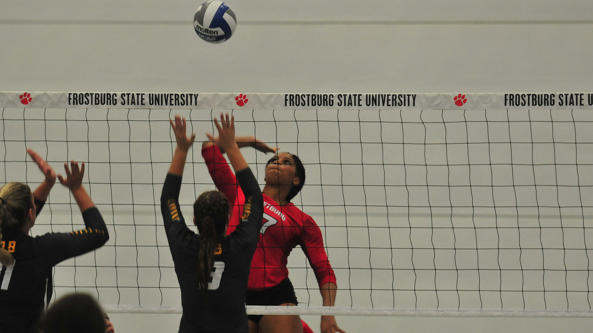 Raven Pratt - Women's Volleyball - Frostburg State University Athletics