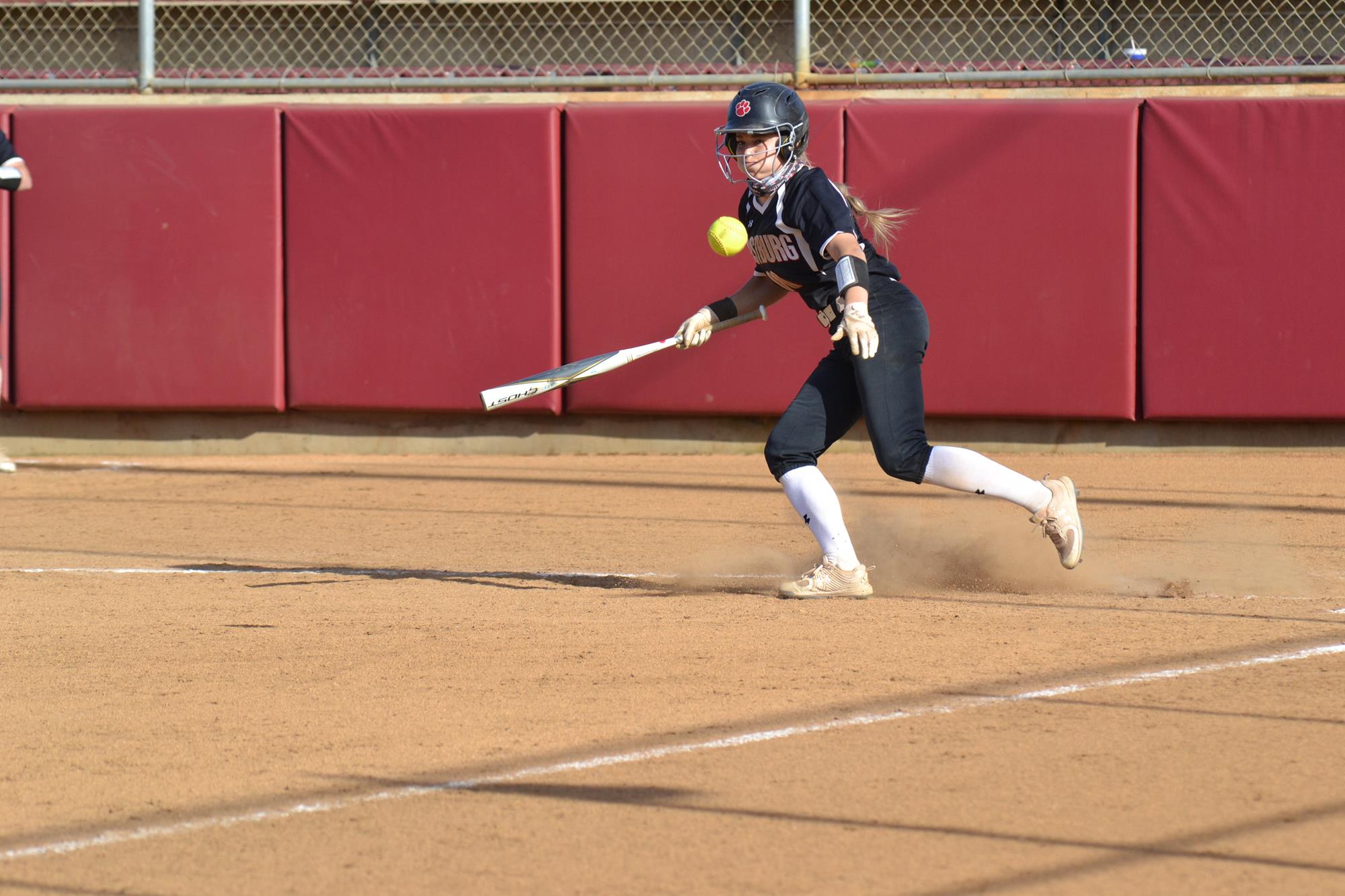 Ava Gnibus - Softball - Frostburg State University Athletics