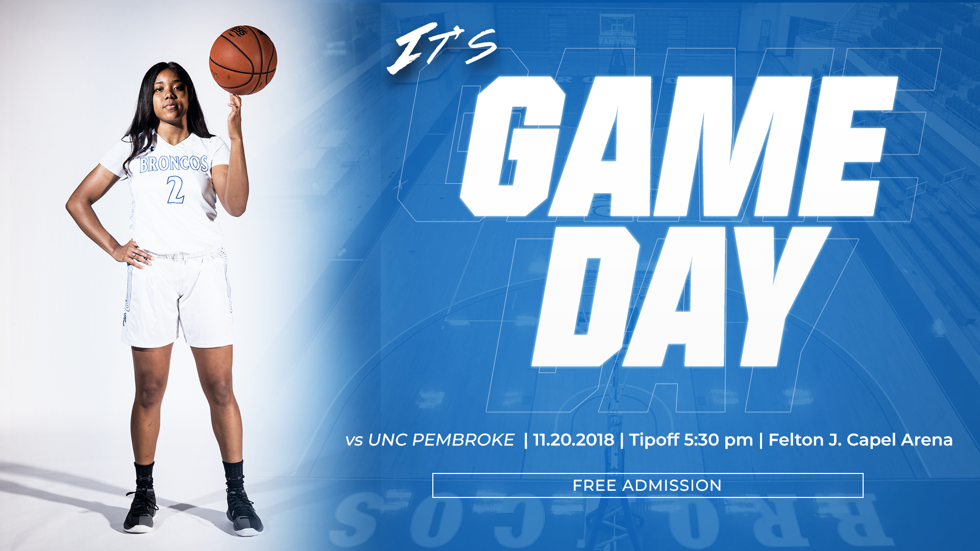 Michelle Gainey - Women's Basketball - Fayetteville State University ...