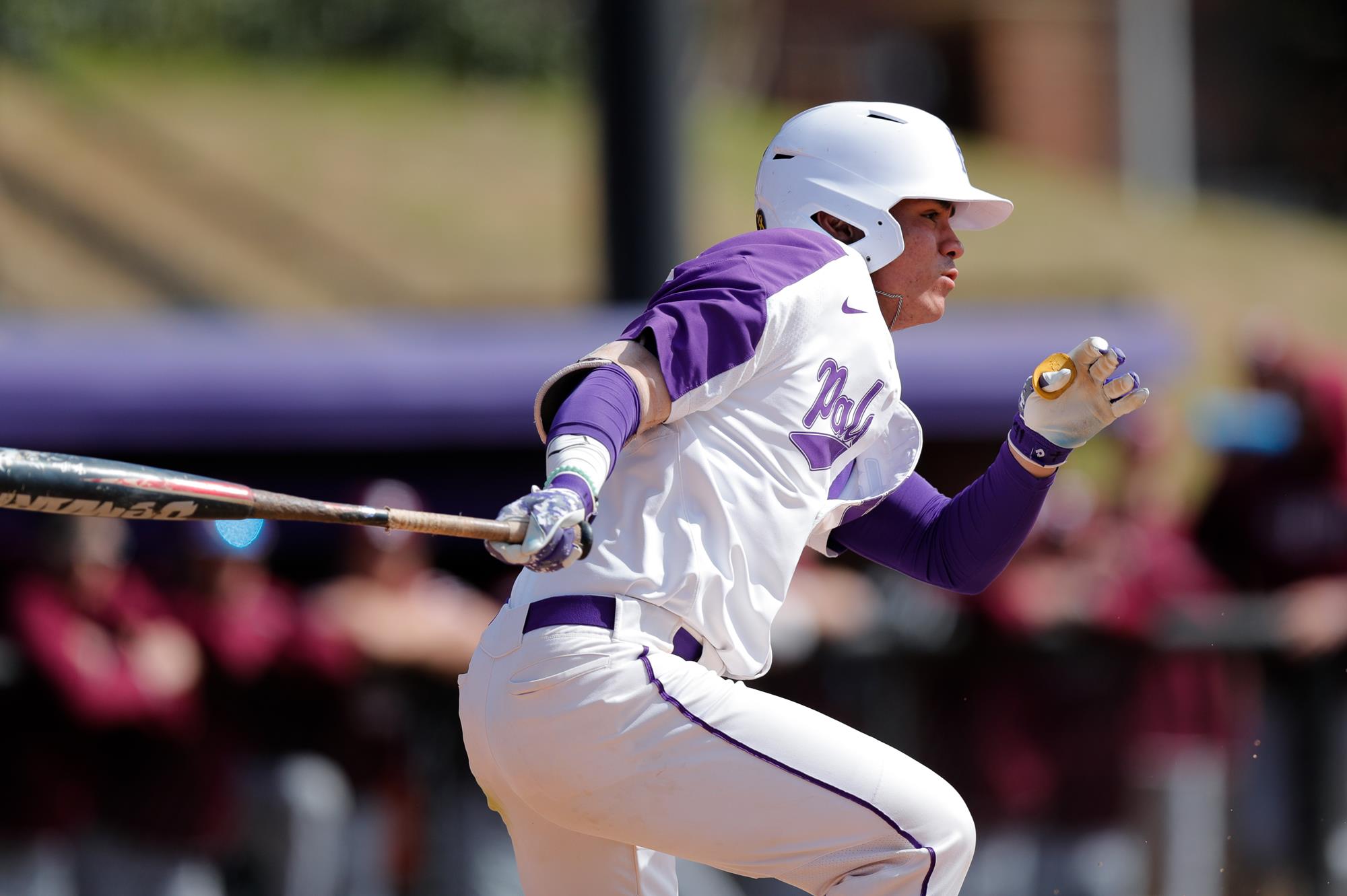 MJ Sasapan - 2020 - Baseball - Furman University