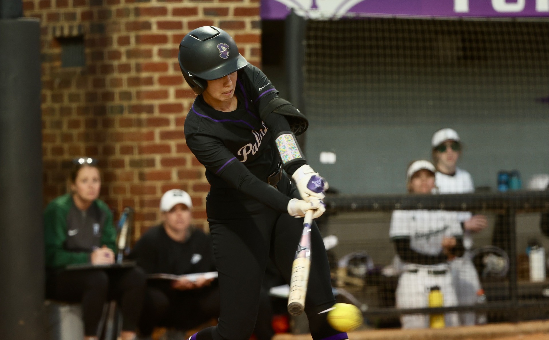 Chrissy Fleming - 2024 - Softball - Furman University