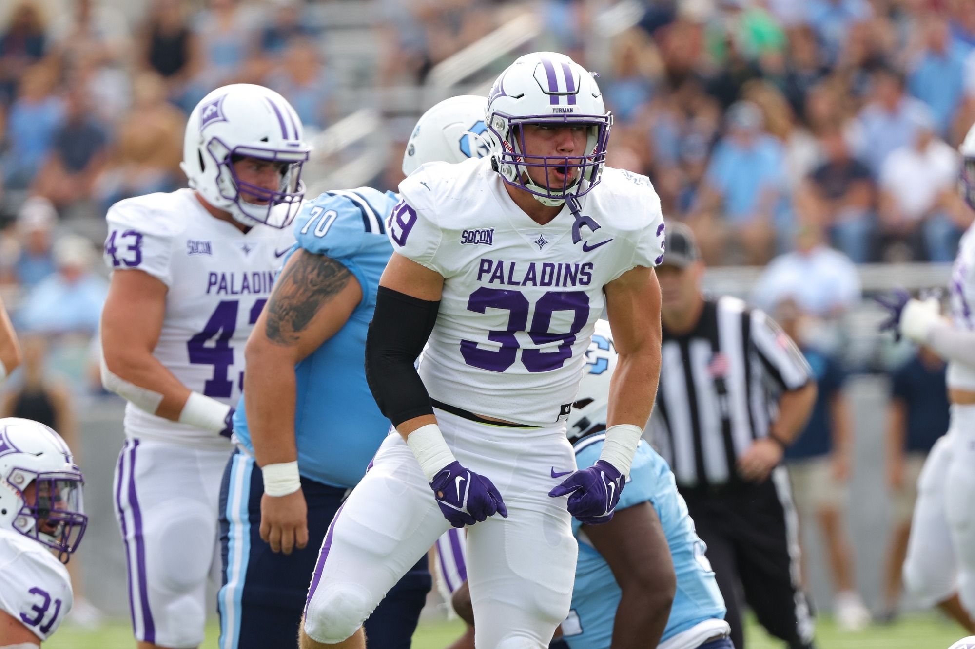 Evan DiMaggio - 2024 - Football - Furman University