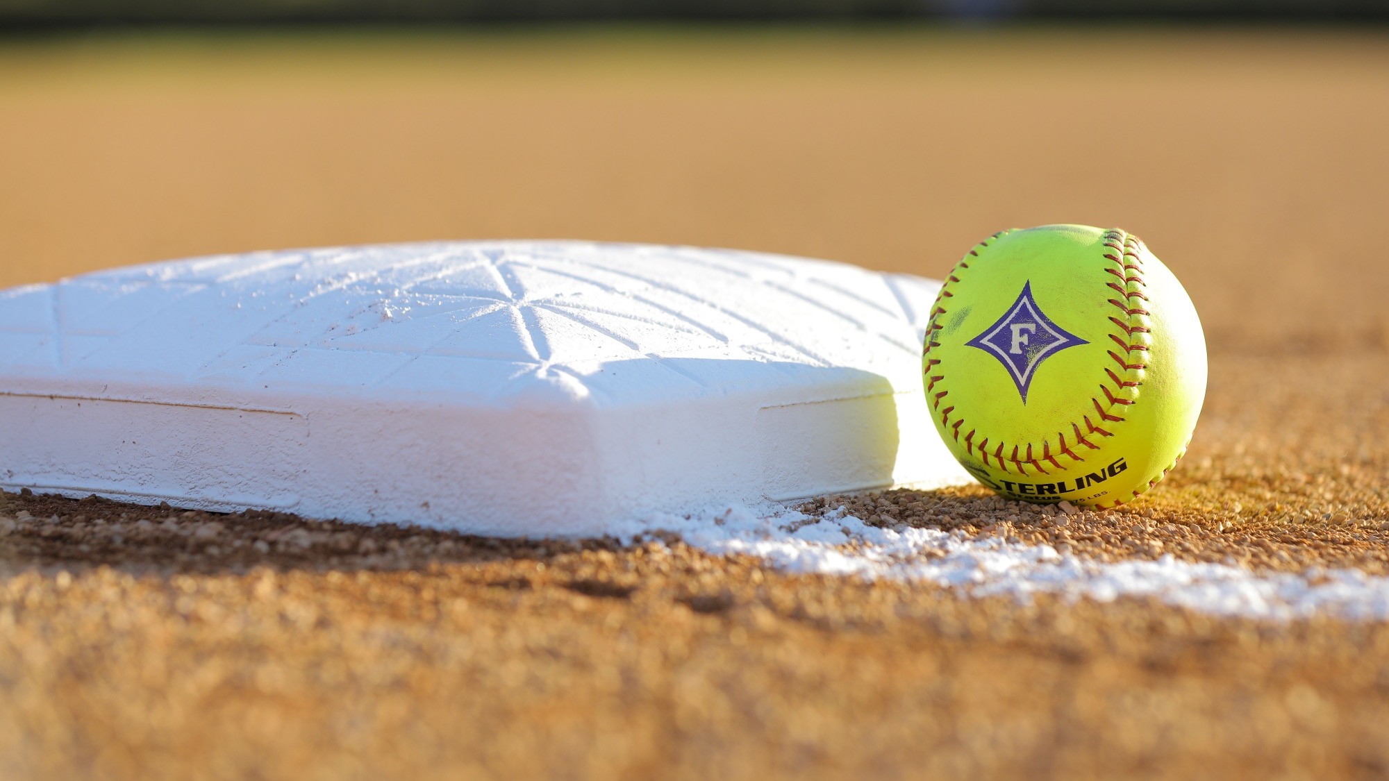 Dennison Named Furman Softball Head Coach - Furman University