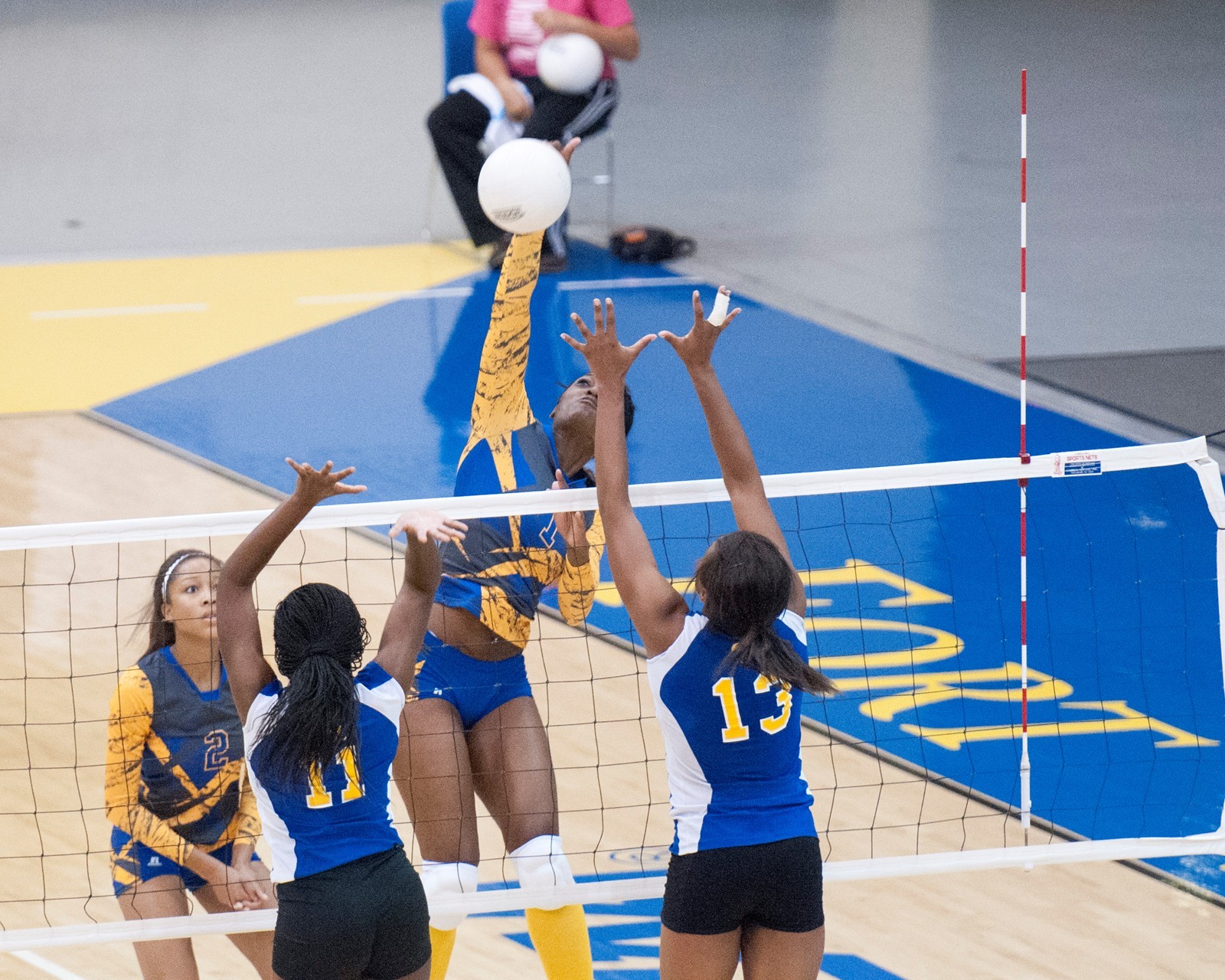Briana Shepherd - Women's Volleyball - FVSU Athletics