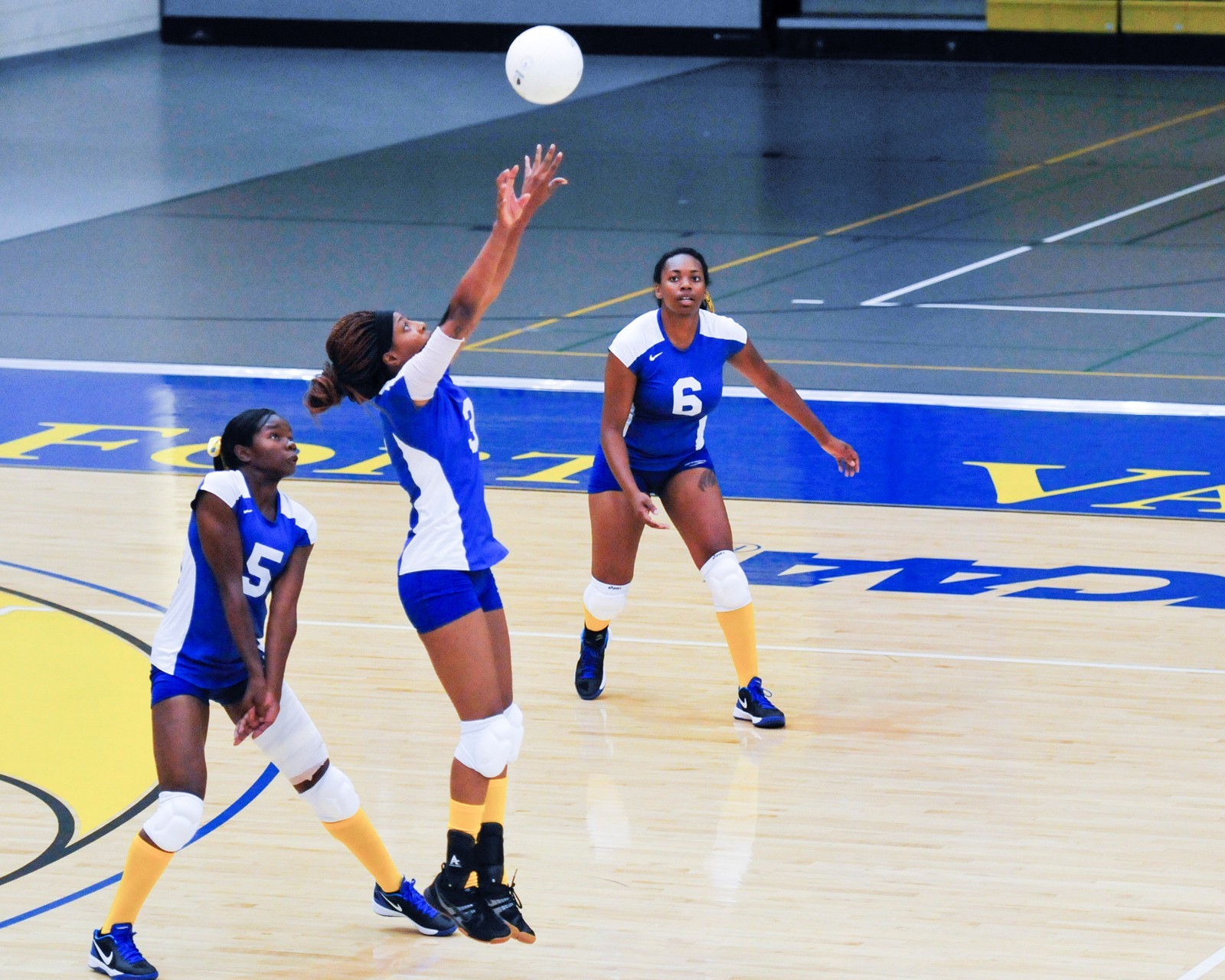 Briana Shepherd - Women's Volleyball - FVSU Athletics