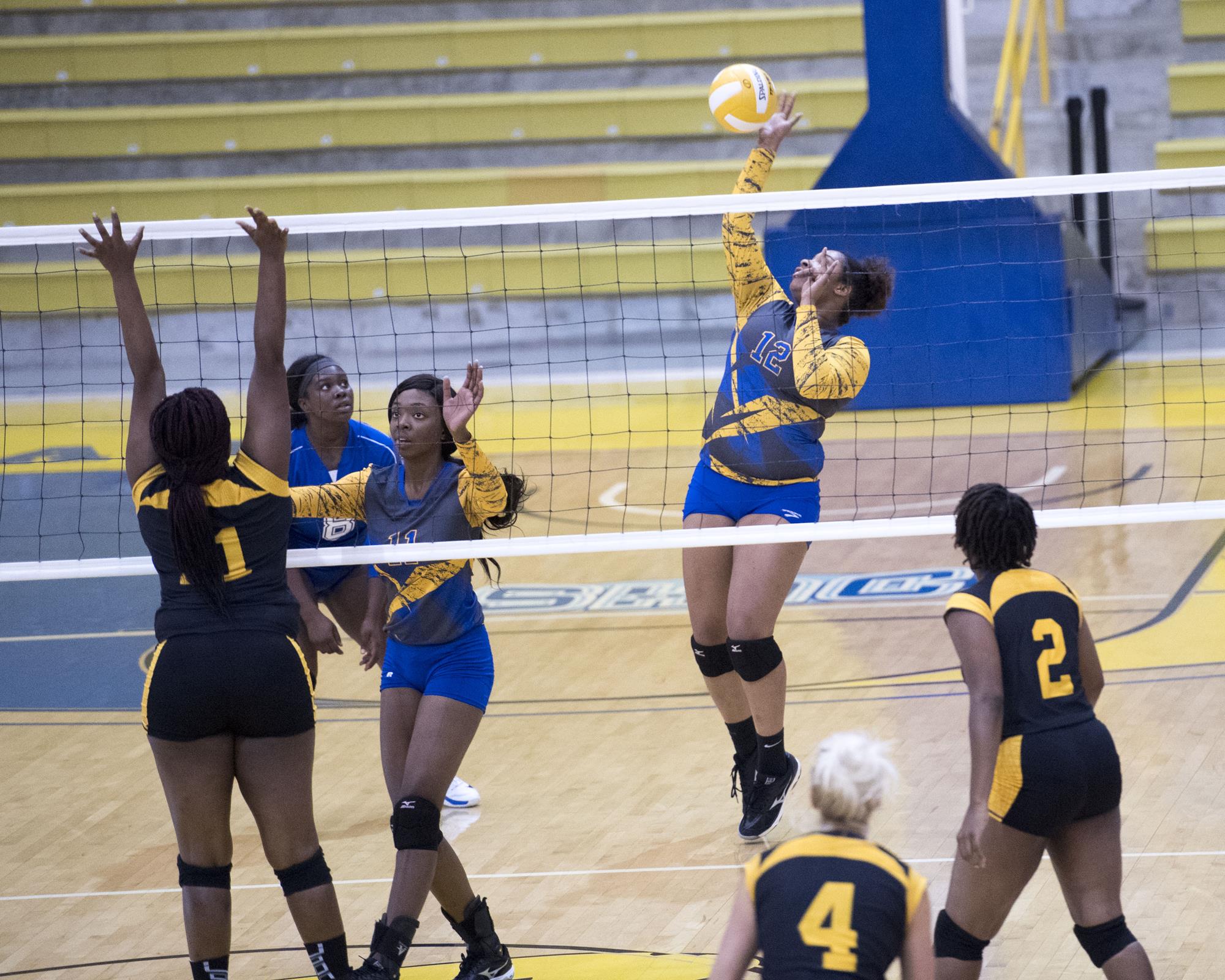 Maya Stewart - Women's Volleyball - FVSU Athletics