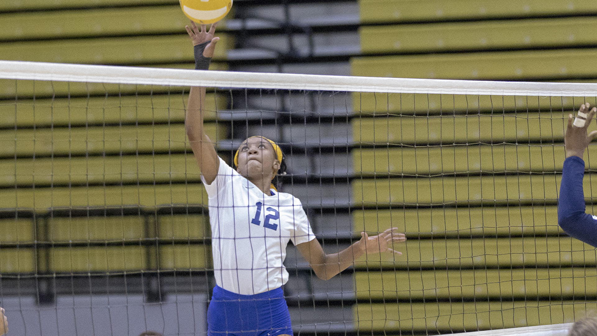 Nia Bell - Women's Volleyball - FVSU Athletics