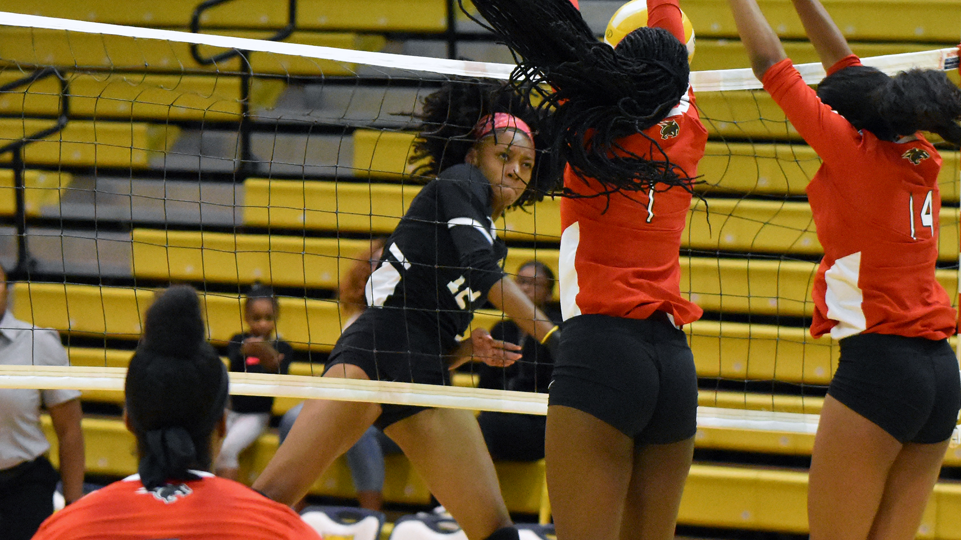Nia Bell - Women's Volleyball - FVSU Athletics