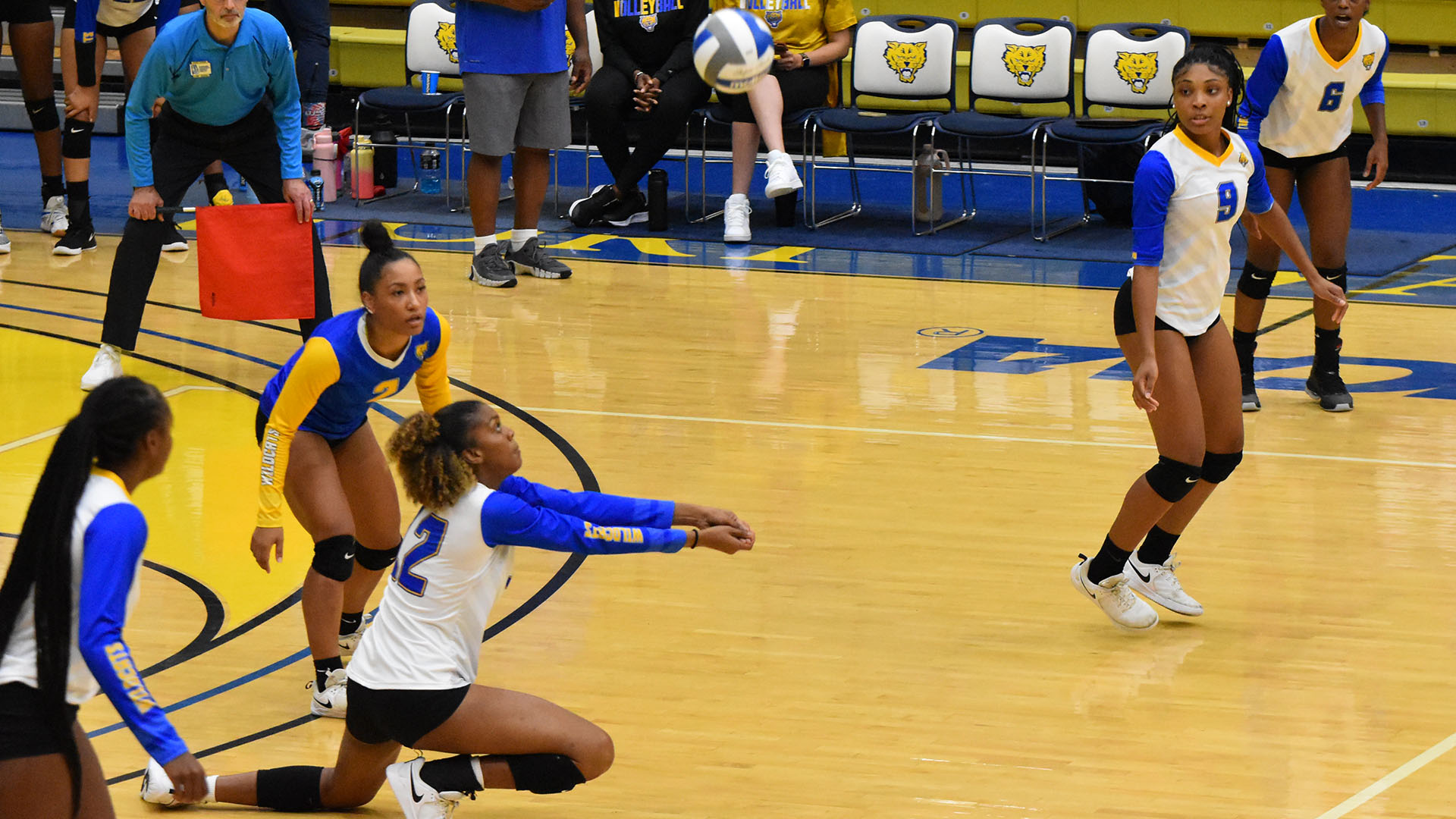 Morgan Gooden - Women's Volleyball - FVSU Athletics