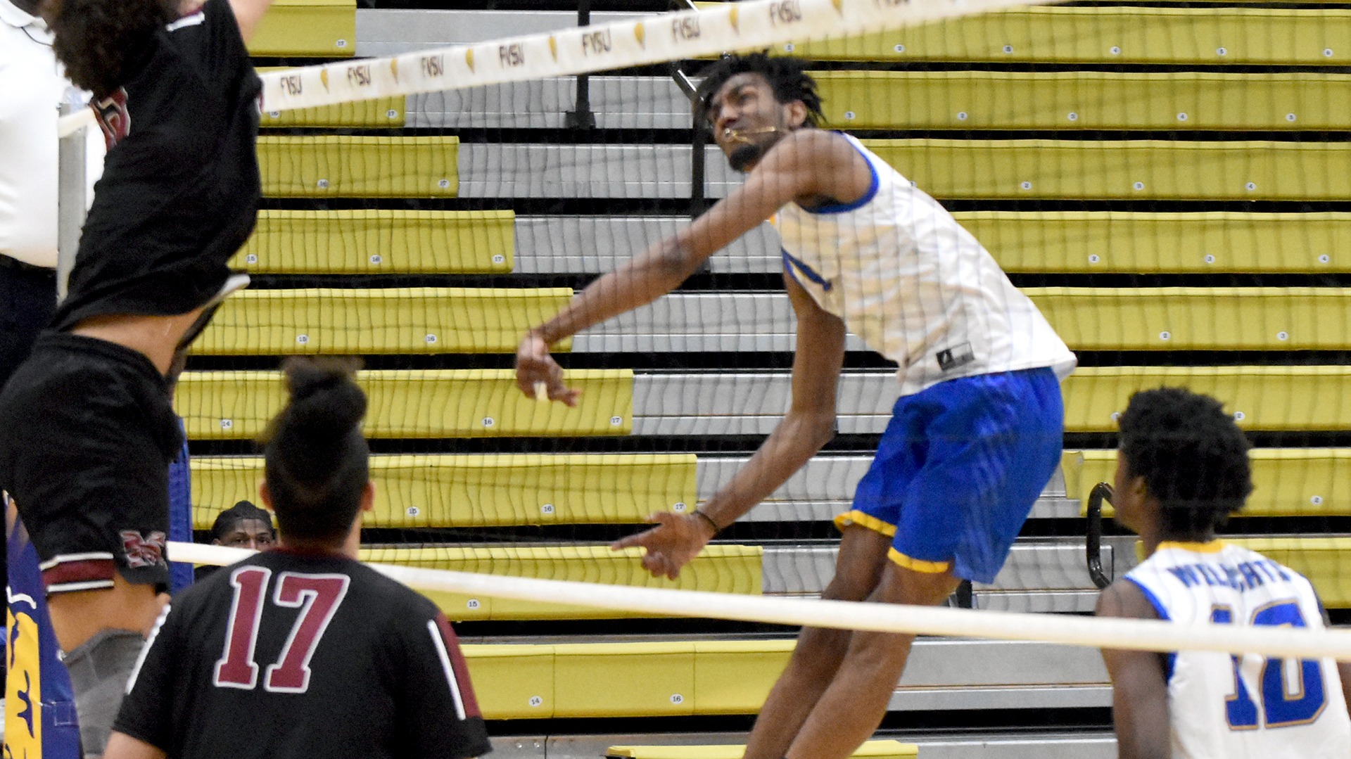 Wildcats Complete Sweep of Maroon Tigers - FVSU Athletics