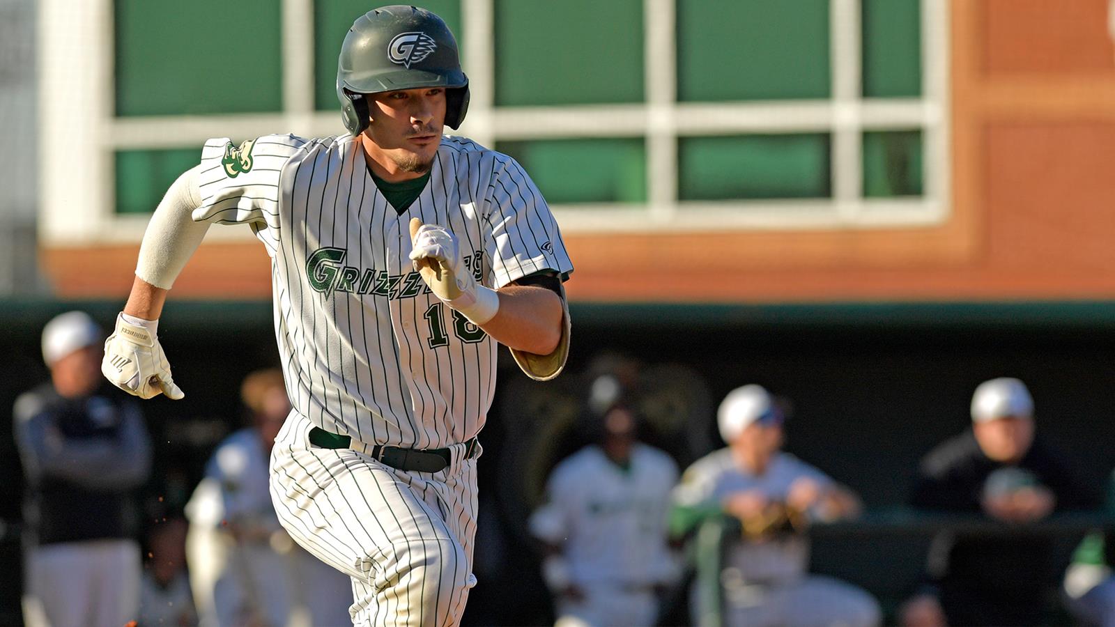 Grand Time at Ballpark - Georgia Gwinnett College Athletics