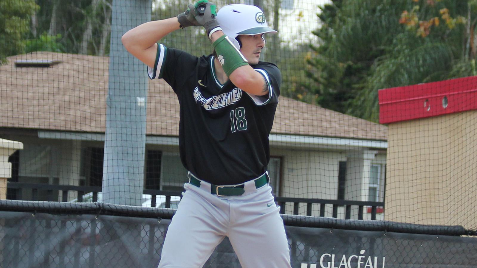 Gabe Austin - Baseball - Georgia Gwinnett College Athletics