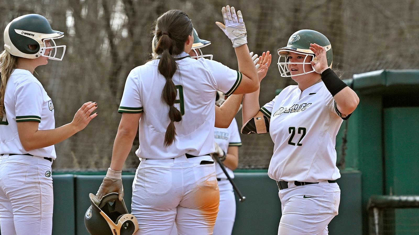 Softball is No. 1 Seed for A.I.I. Championship - Georgia Gwinnett ...