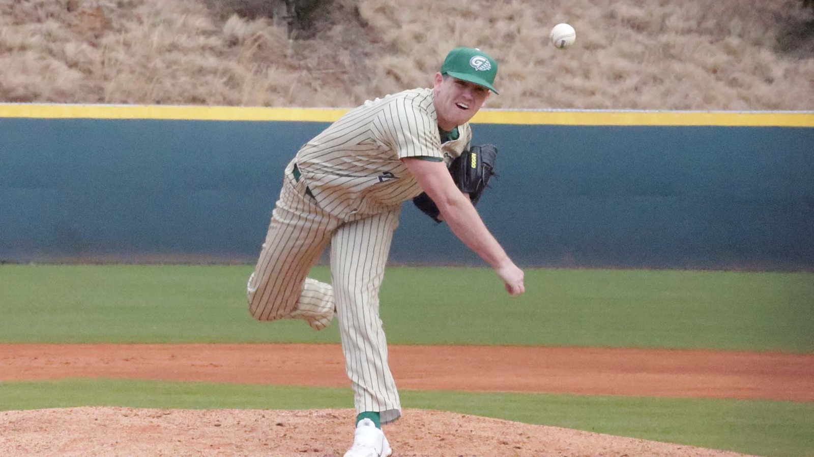 Cameron Repetti - Baseball - Georgia Gwinnett College Athletics