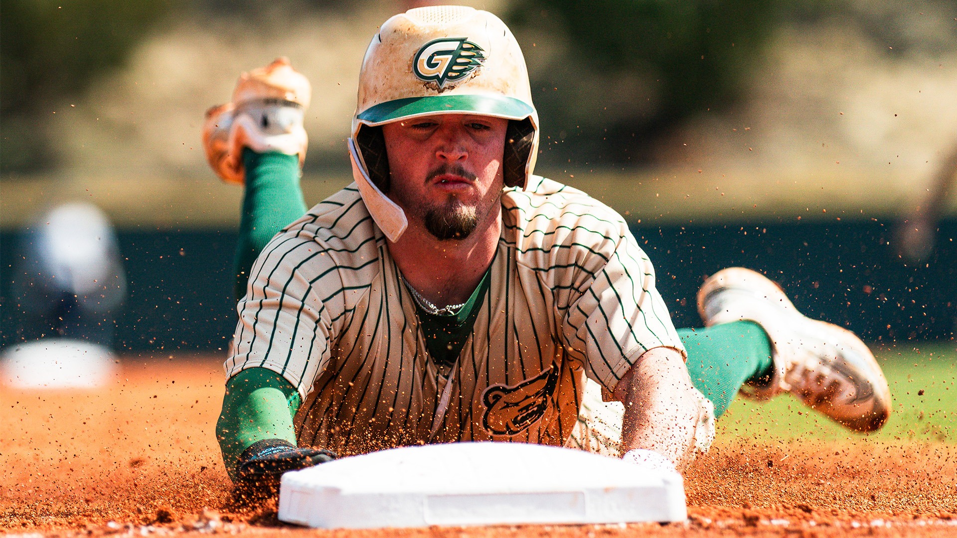 Baseball Releases 2025 Schedule - Georgia Gwinnett College Athletics