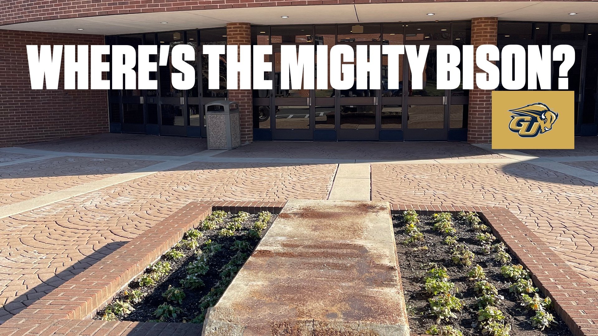 Mighty Bison Statue leaves for Spa Break, will return later this ...