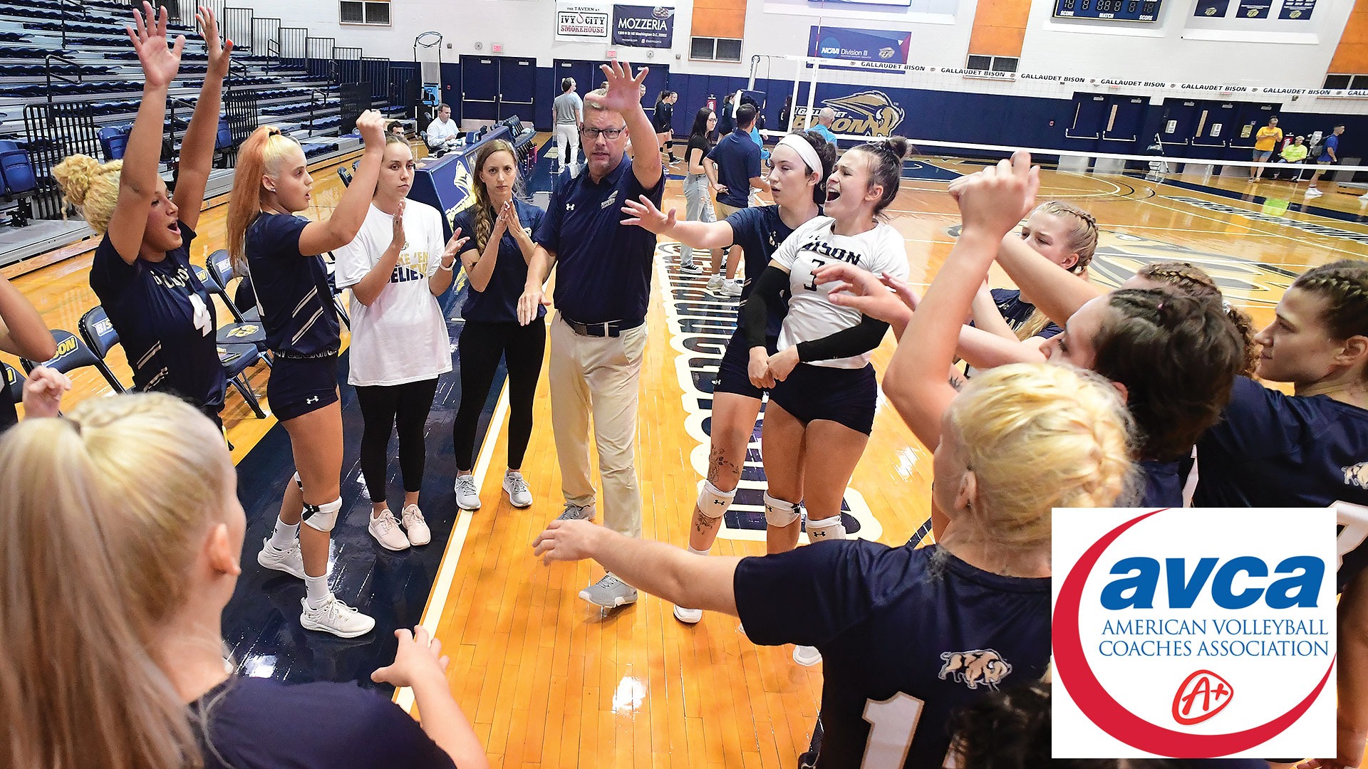 Gallaudet women's volleyball earns 15th AVCA Team Academic Award ...