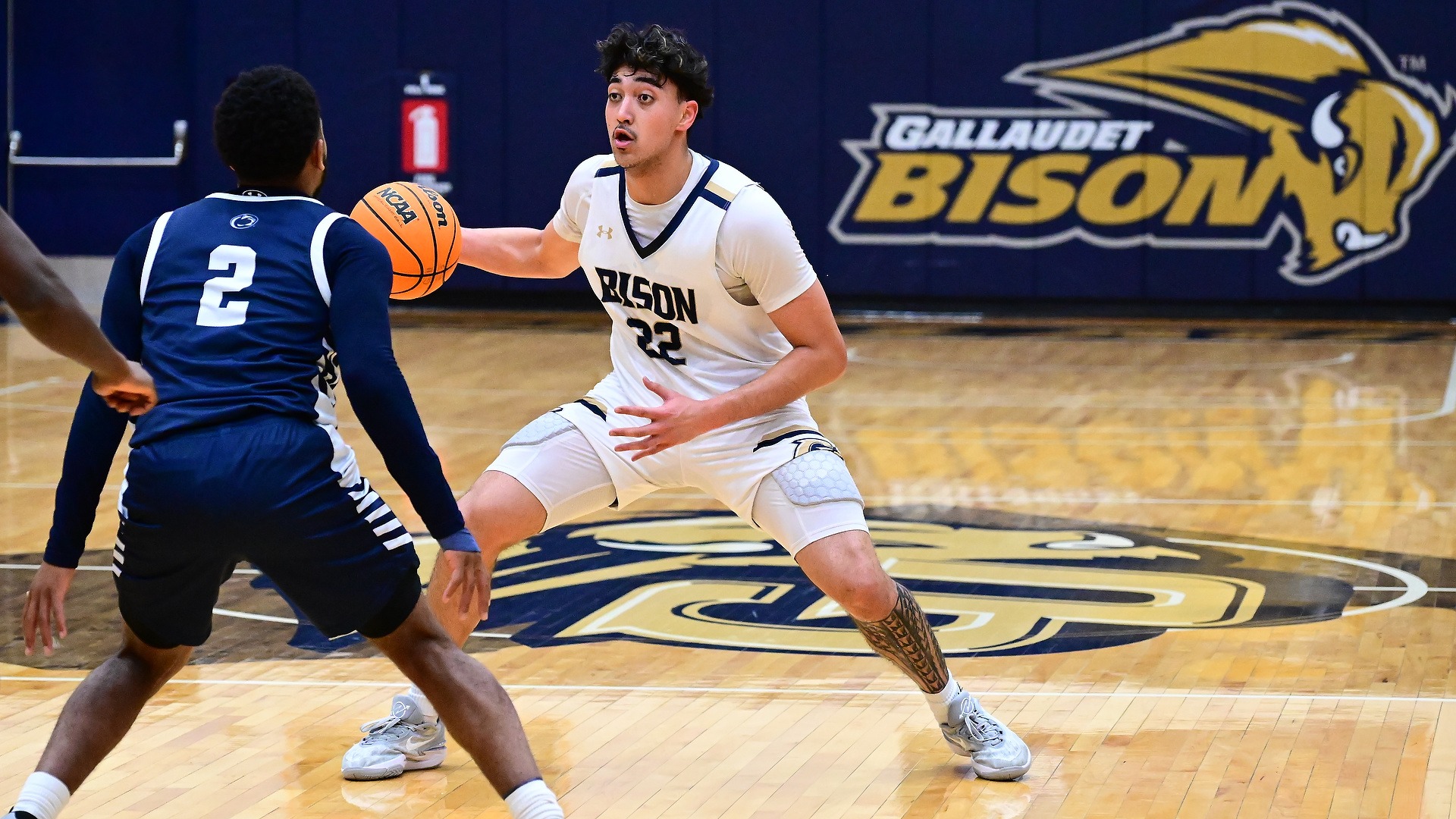 Bison falls to Penn St.-Berks in final regular-season road game ...
