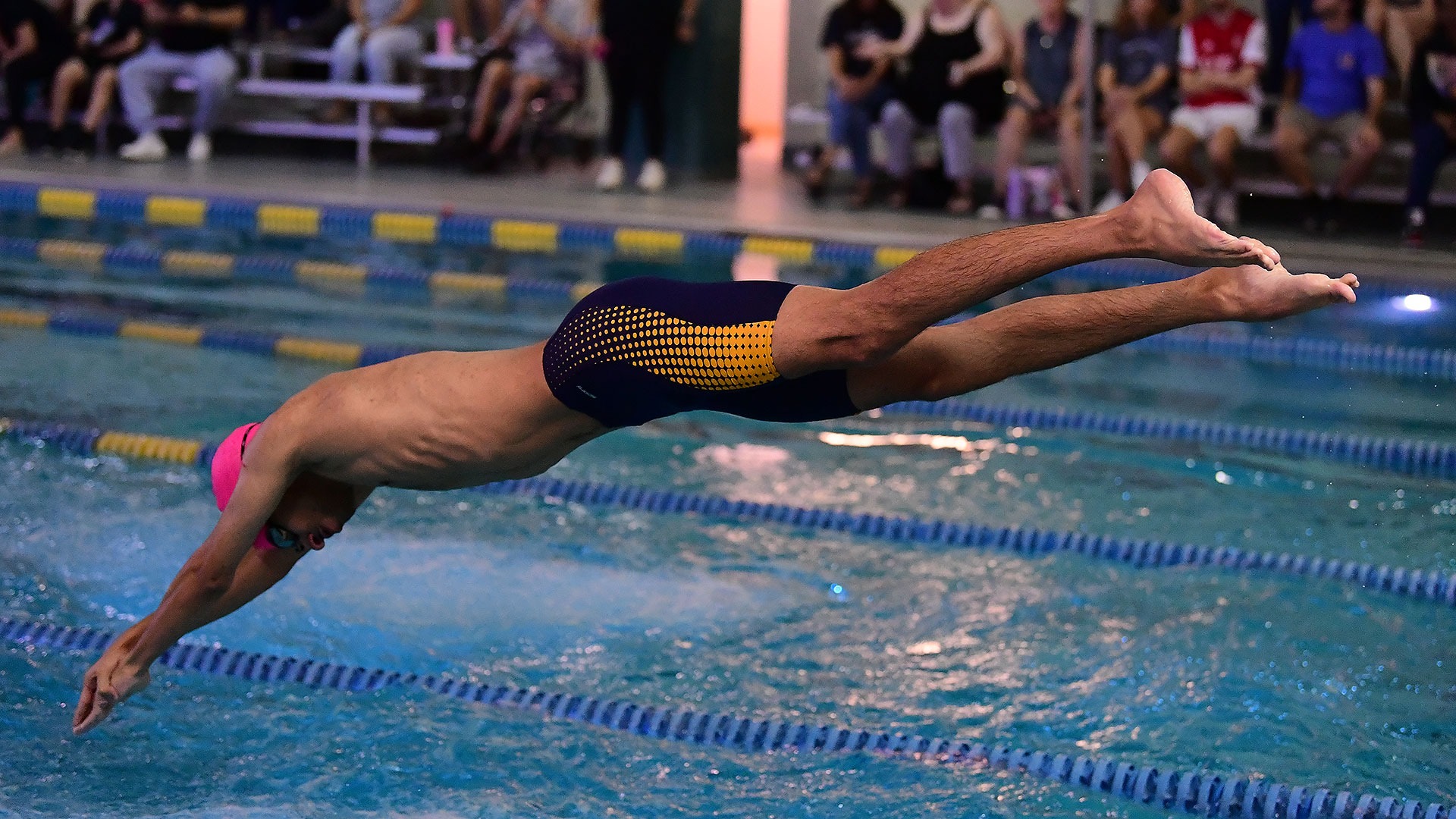 Bison men's team dives into the 2024 AEC swimming championships on ...
