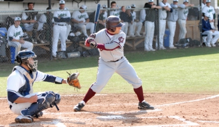 Brandon Crum - 2010 - Baseball - Gannon University Athletics