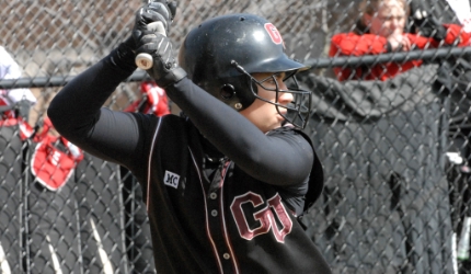 Ashley Petrone - 2012 - Softball - Gannon University Athletics