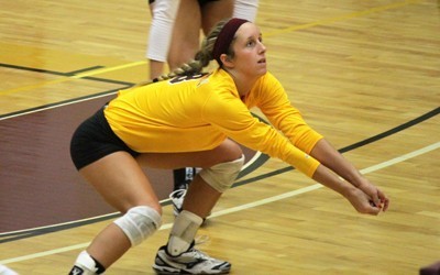 Taryn Graham - 2014 - Women's Volleyball - Gannon University Athletics