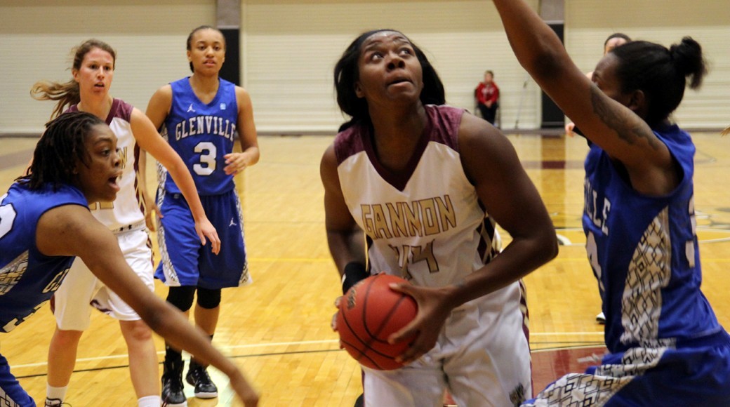 Nettie Blake - 2014-15 - Women's Basketball - Gannon University Athletics