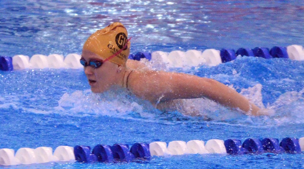 Amanda Knapp - 2014-15 - Women's Swimming and Diving - Gannon ...