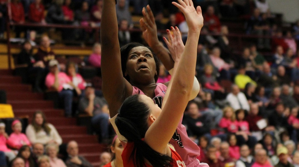 Nettie Blake - 2014-15 - Women's Basketball - Gannon University Athletics