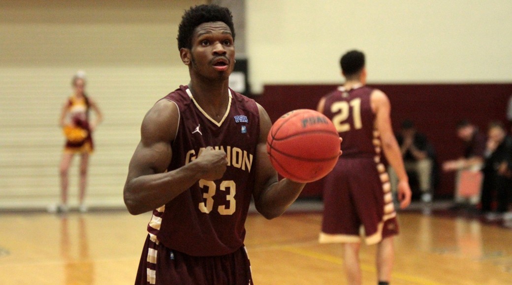 Tony Boykins - 2015-16 - Men's Basketball - Gannon University Athletics