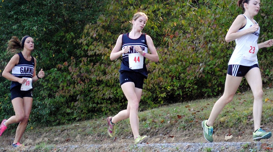 Emily Roesch - 2016 - Women's Cross Country - Gannon University Athletics