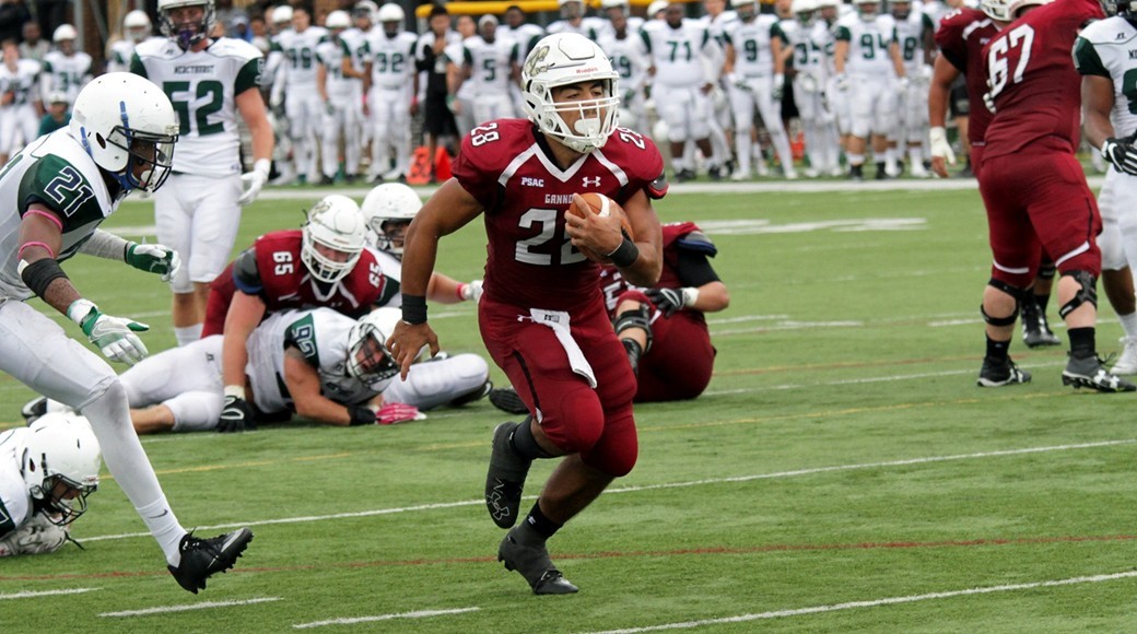 Tyler Johnson - 2016 - Football - Gannon University Athletics