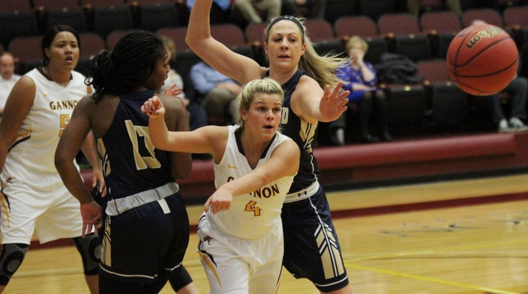 Julia Braungart - 2017-18 - Women's Basketball - Gannon University ...