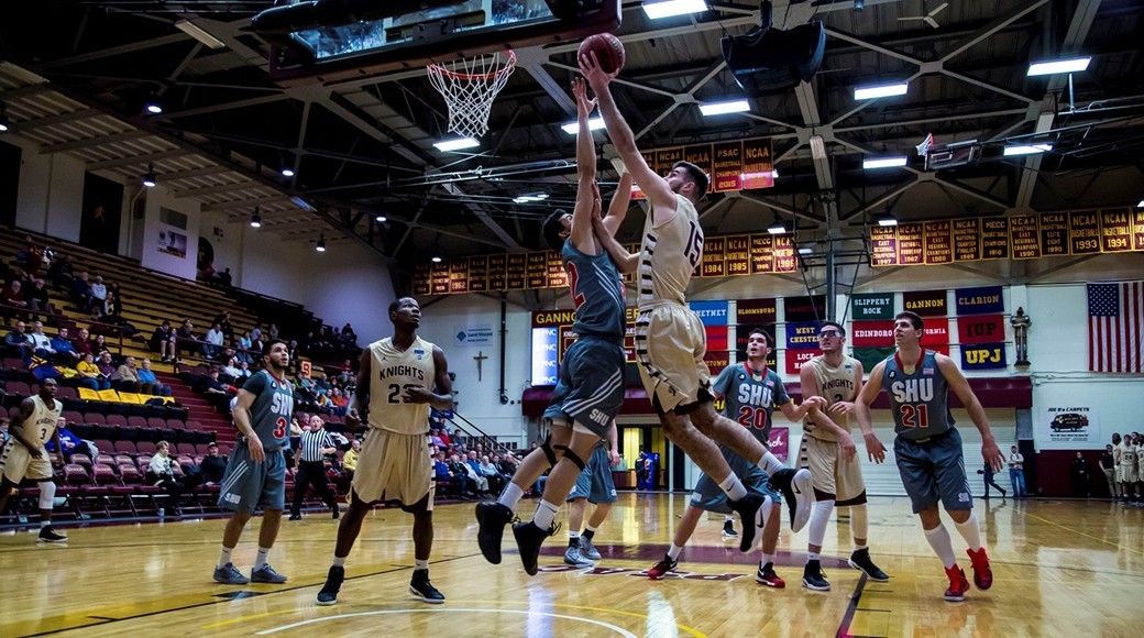 Matthew Dogan - 2016-17 - Men's Basketball - Gannon University Athletics