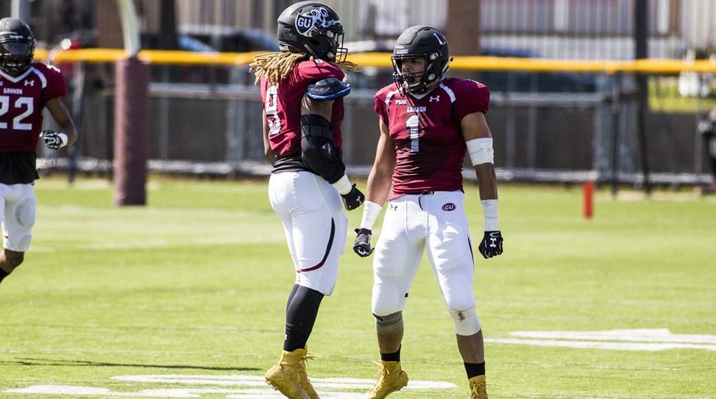 James Simms - 2018 - Football - Gannon University Athletics