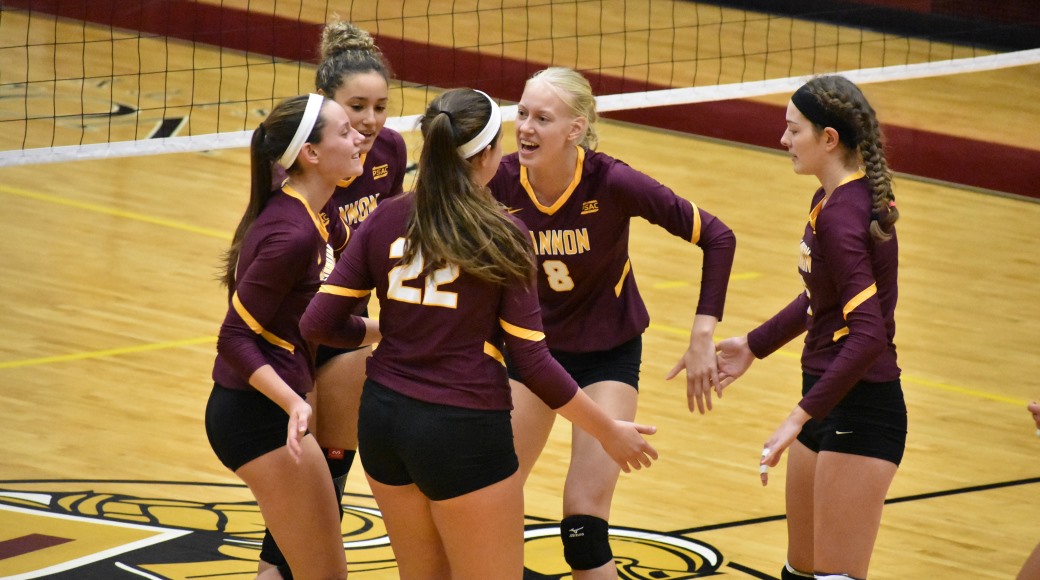 Anne-Mari Kaur - 2017 - Women's Volleyball - Gannon University Athletics