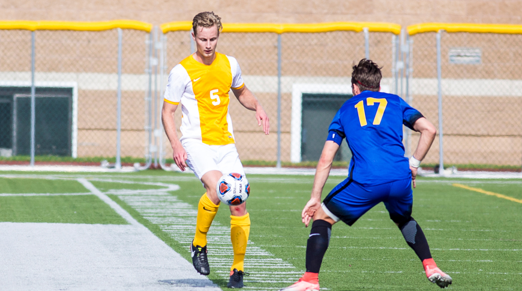 Austin Ludwik - 2019 - Men's Soccer - Gannon University Athletics